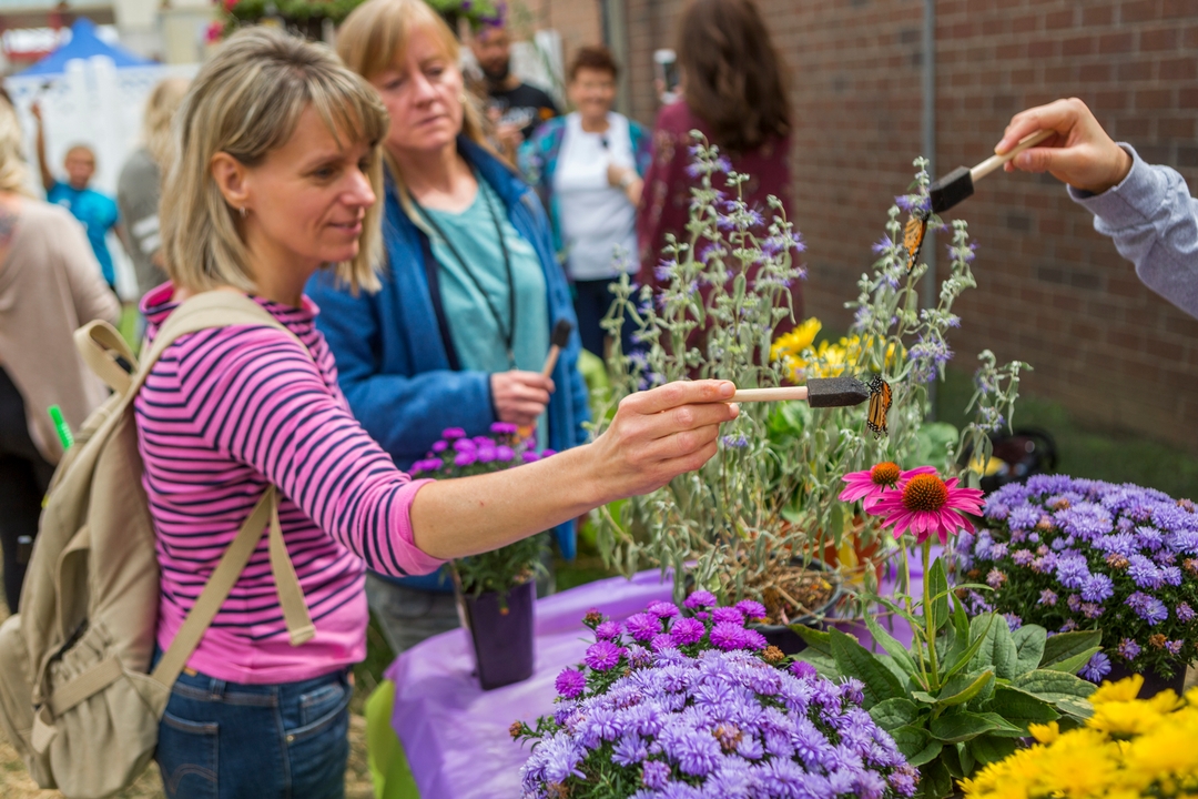 Cabarrus County Fair